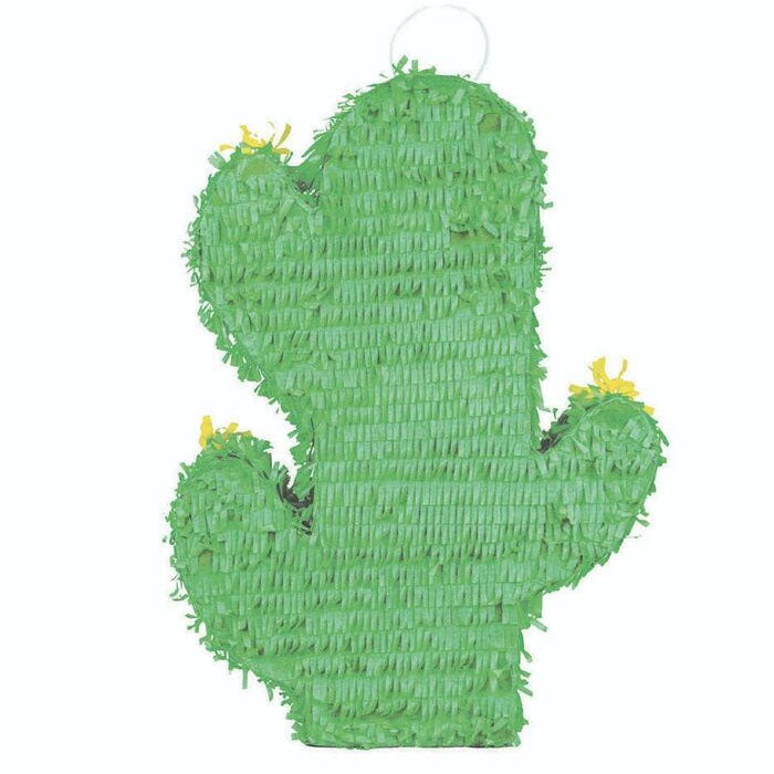 Cactus Pinata | Party Pinata | The French Kitchen Castle Hill